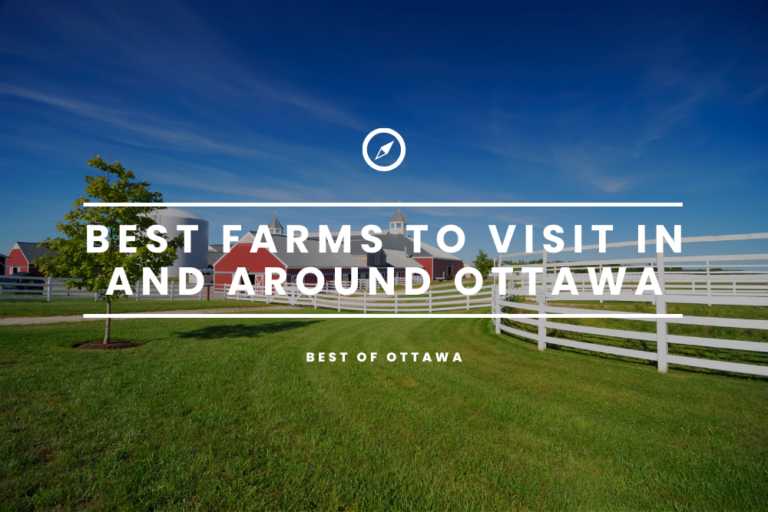 The 6 Best Farms to Visit in and Around Ottawa