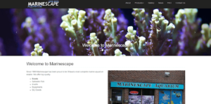 The 6 Best Aquarium Stores in Ottawa [2025]