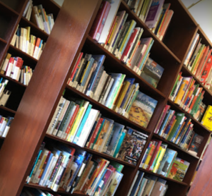 The 8 Best Public Libraries In Ottawa [2023]