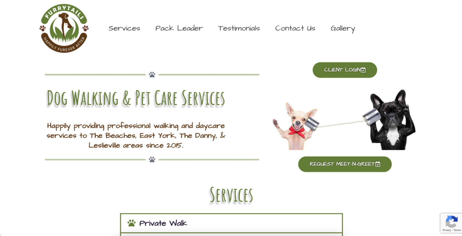 The 7 Best Dog Groomers in Ottawa [2025]